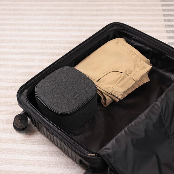P4 Portable Carrying Case
